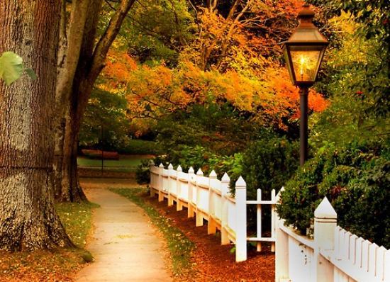 Fall Autumn Photos : theBERRY | Texas Tiny Homes